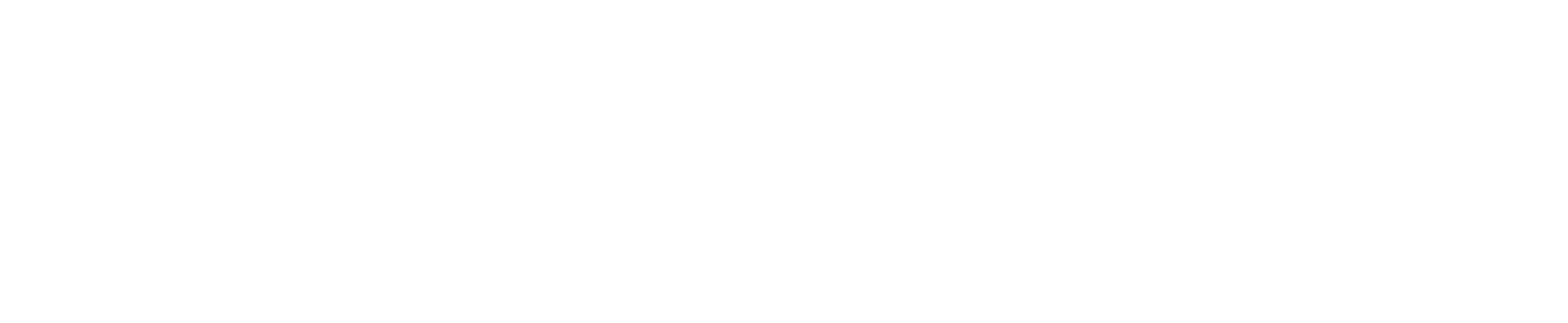 Australia’s Trusted IT Service Provider | Evolution Systems